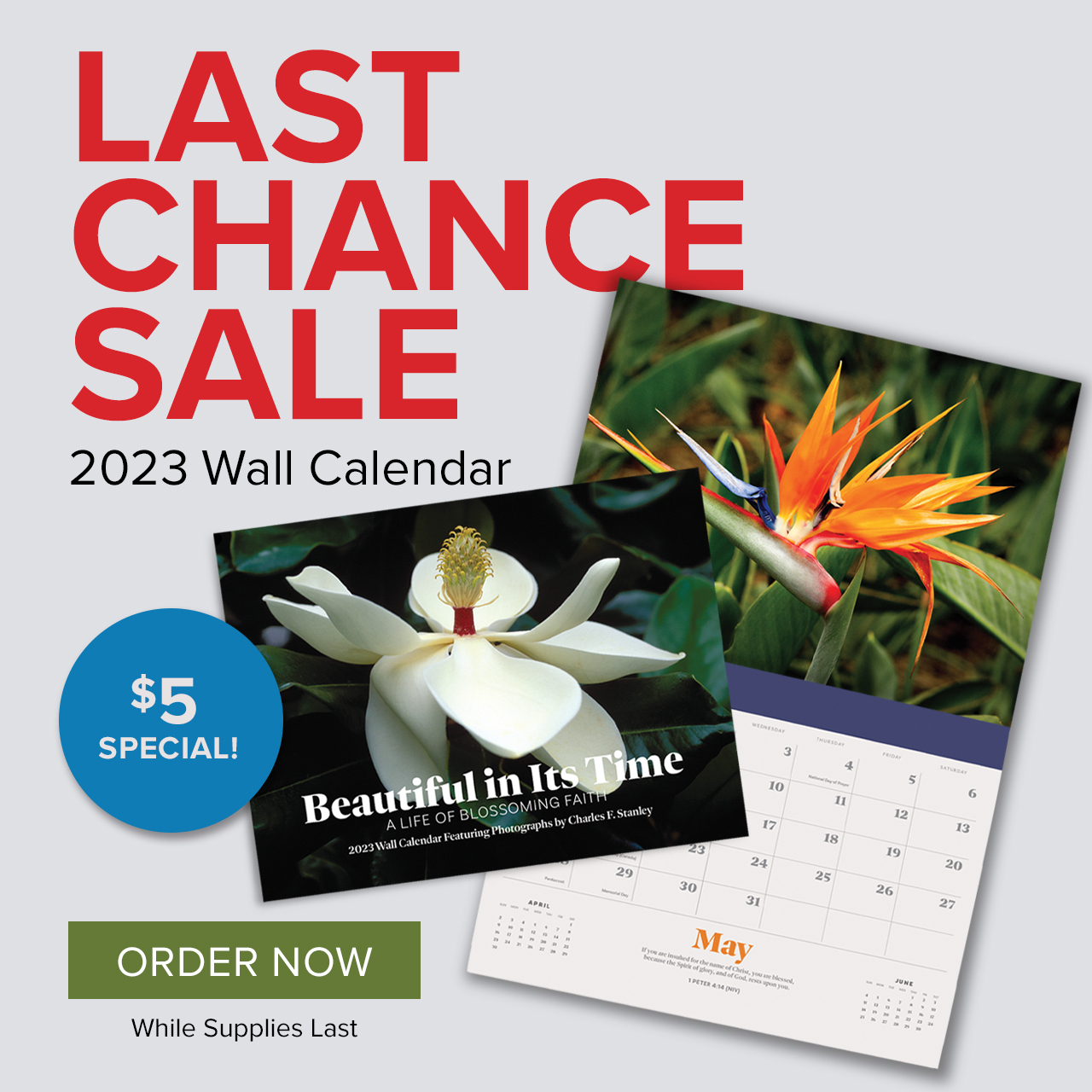 In Touch Ministries – Home