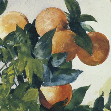 The Positive Side of Sowing and Reaping