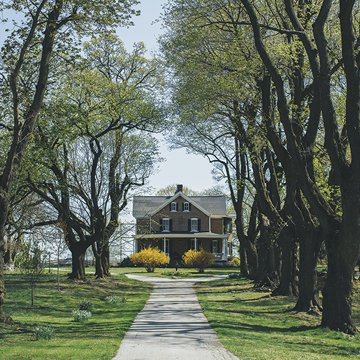 And the Trees Will Clap Their Hands