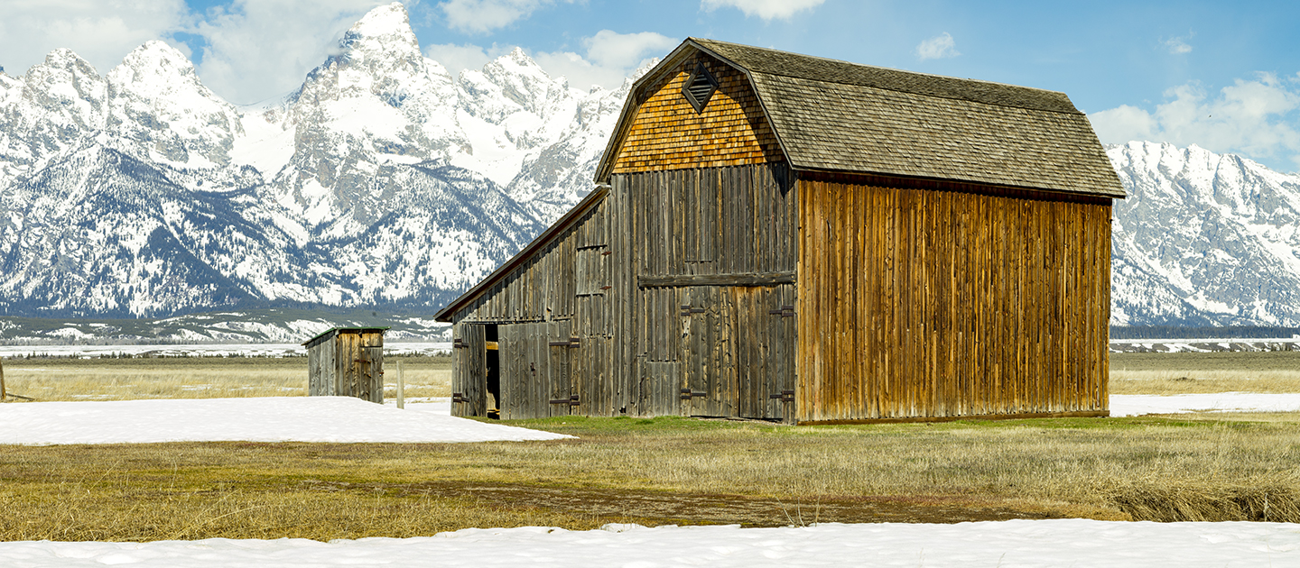 Simple Acts of Obedience