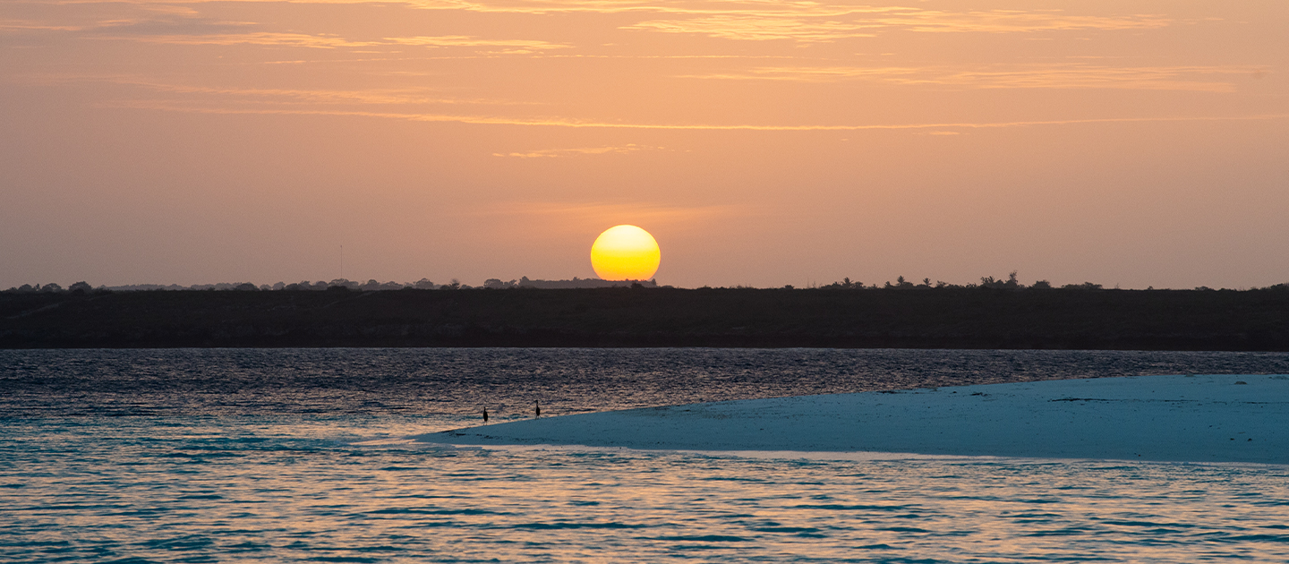 Vision Without Boundaries