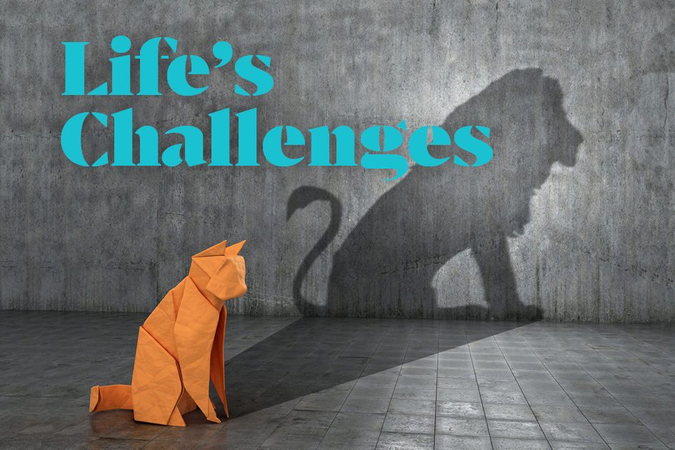 Life Challenges