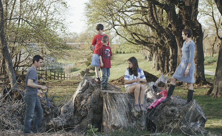 And the Trees Will Clap Their Hands